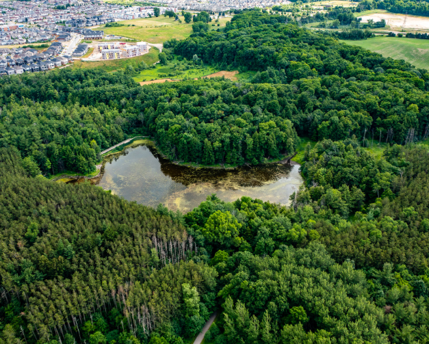 Home [teamburca.com]