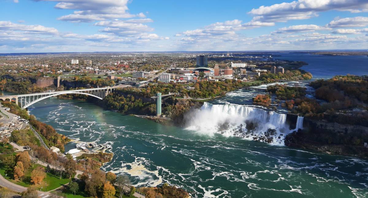 Chad Gale - Your Trusted Real Estate Partner